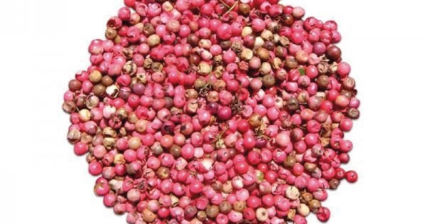 Πιπέρι Ροζ Βραζιλίας